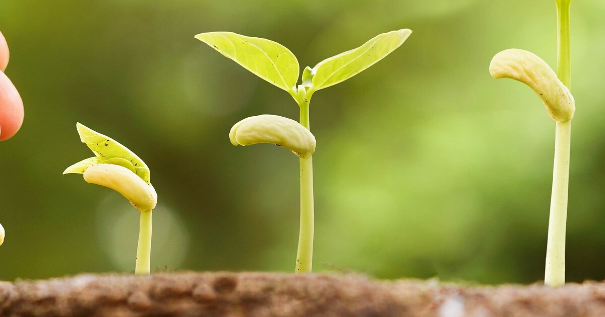 Finde deinen Platz: Potenzialentfaltung bei der CAS Software AG | CAS Mitgestalter